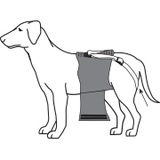 How To Use – Doggie didi – Take Your Dog Anywhere! – Tinkle Time With ...